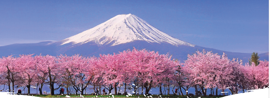 🌸🇯🇵 JAPAN Multi Centre Adventure 🇯🇵🌸 - KT Travel